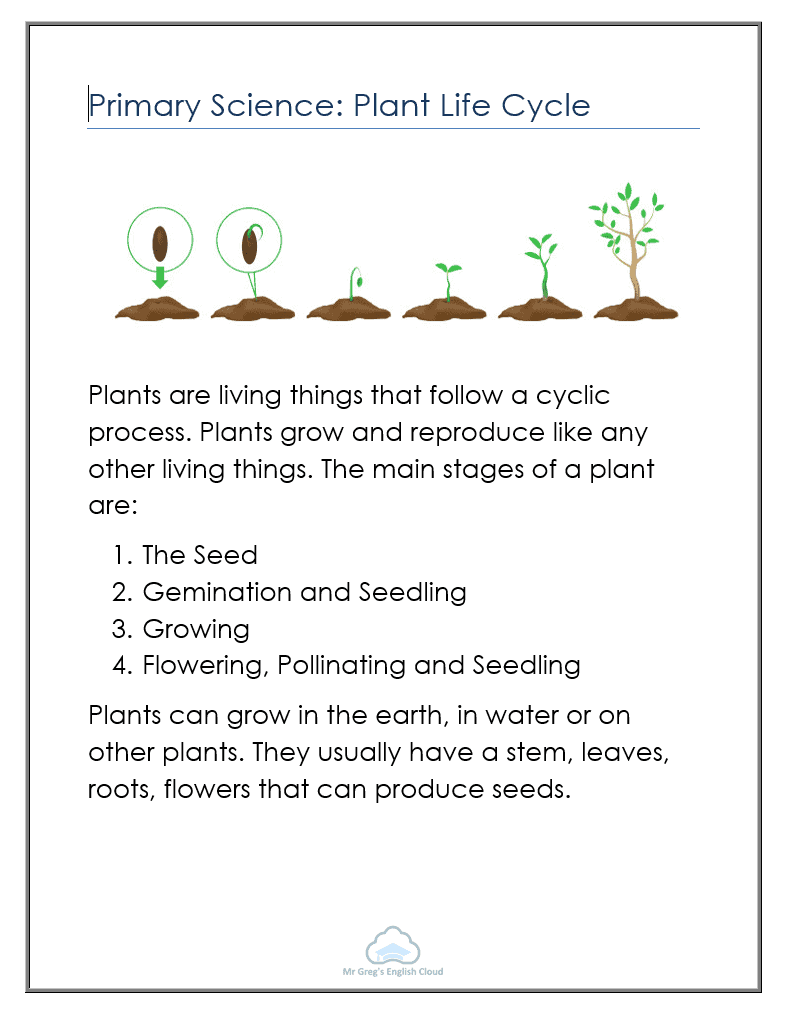 Plant Life Cycle Worksheets - Mr. Greg