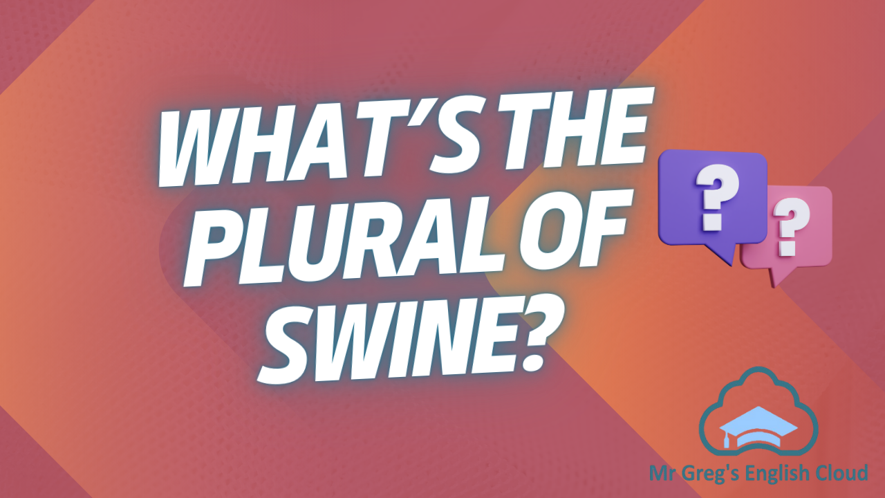 What’s the Plural of Swine? - Mr. Greg - English Teacher